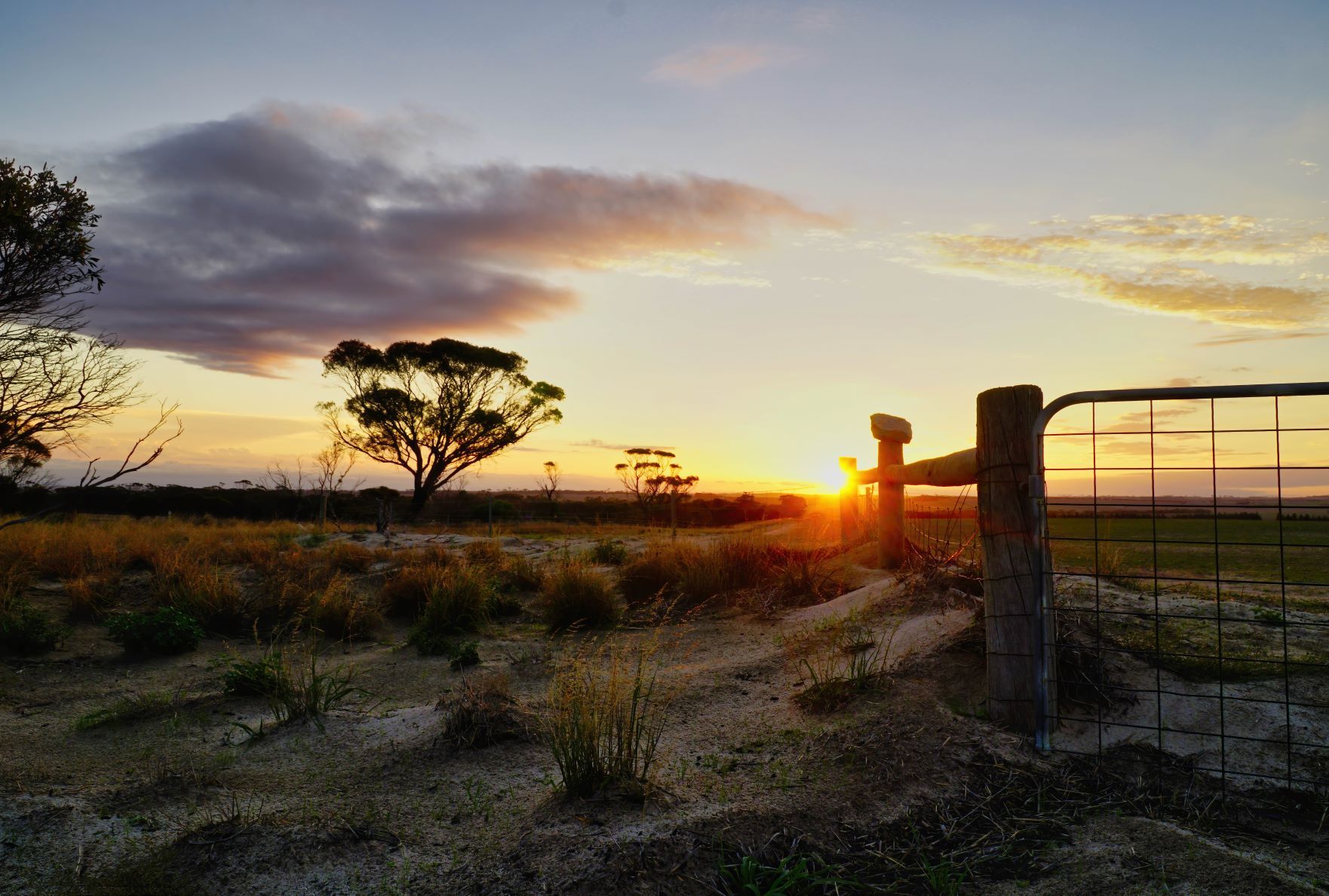 The benefits of working in rural healthcare in Australia