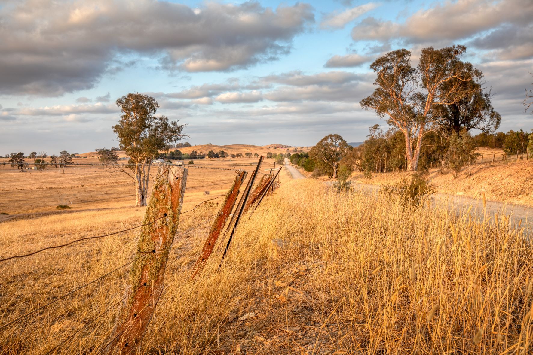 Do rural doctors in Australia earn more?