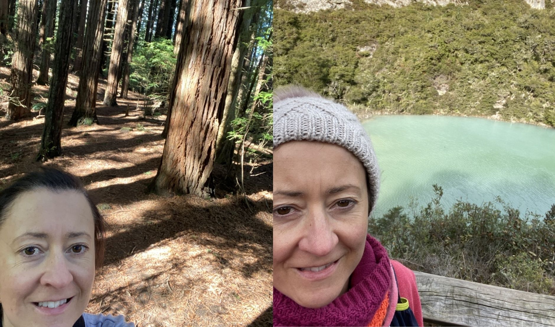 International medical graduate in New Zealand