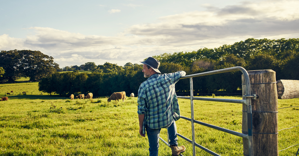 What is the NSW Rural Doctors Network